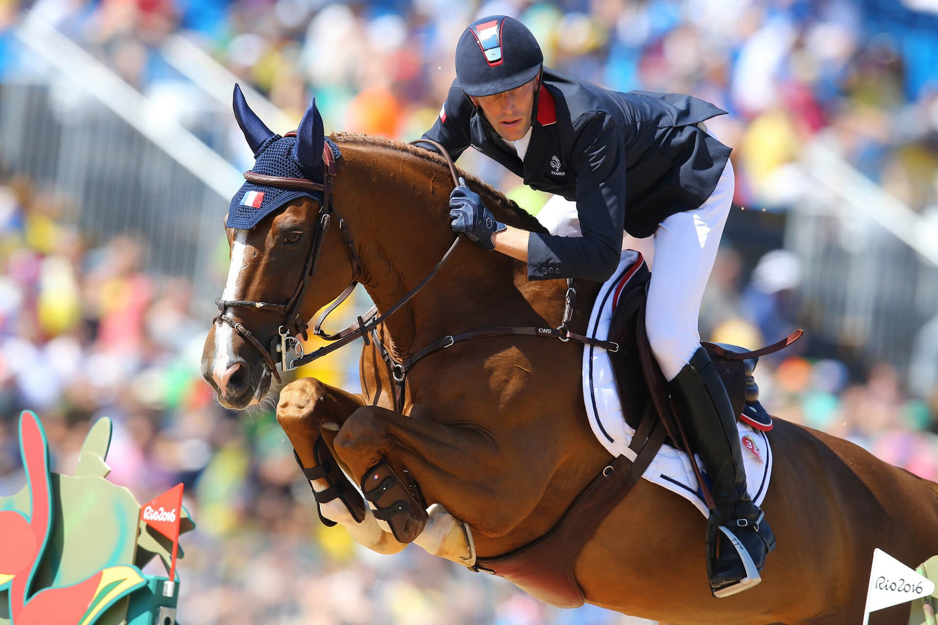 Le Haras des Coudrettes | Les Chevaux de Légende